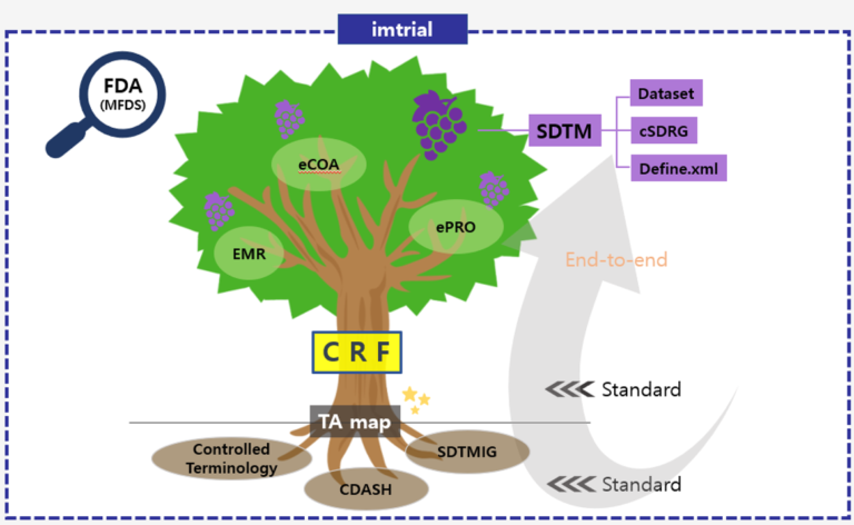 SDTM제출을 위한 FDA규정의 이해 – Study Data Technical Conformance Guide ver.4.8.1 (October 2021) | imtrial
